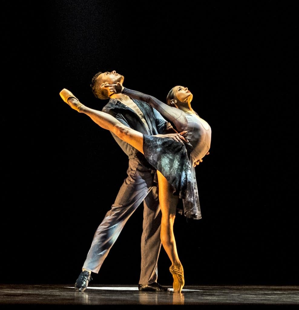 La Boîte des Rêves - Elephant In The Black Box